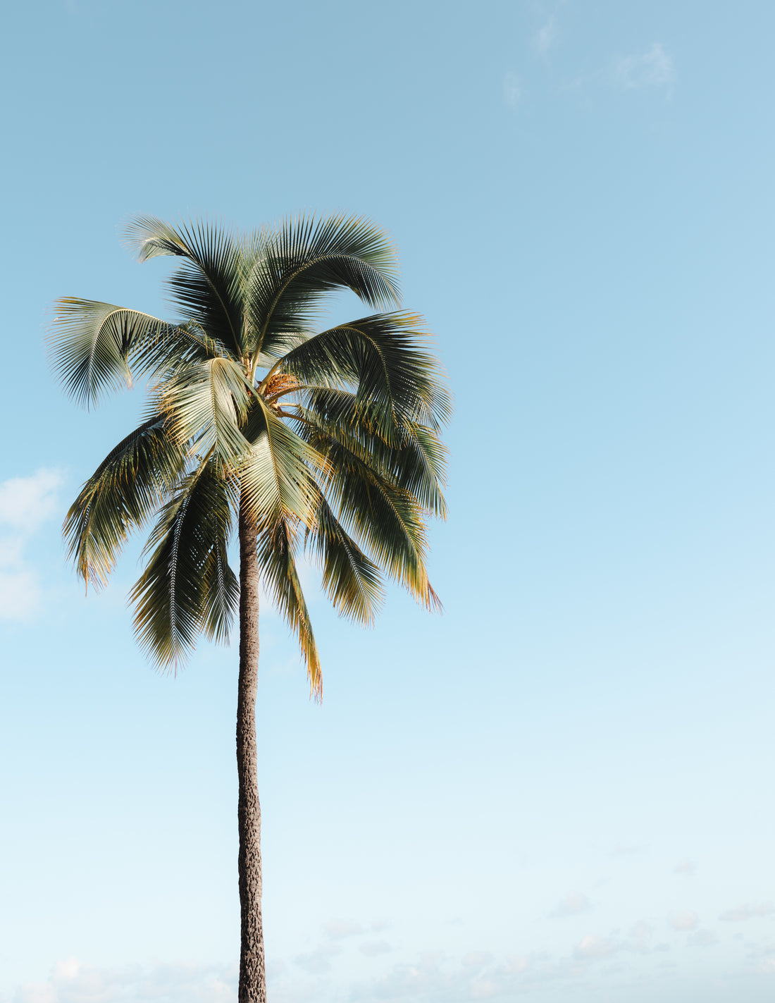 Learn About Solar Energy | SOLAR.ID